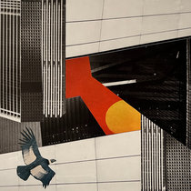 Cosmo 346: A Cautionary Tale of Online Extremes | viral watch