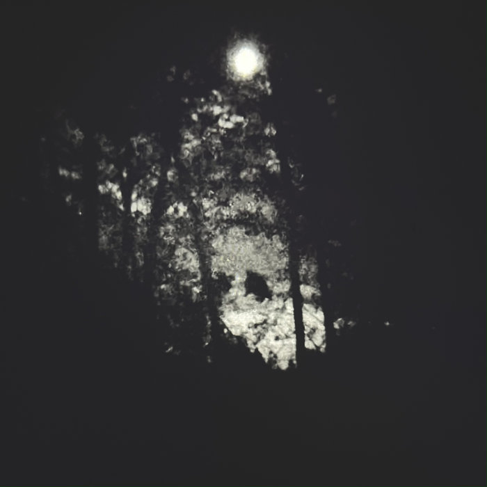 XIV: Primordial Void Memories | ISVARA