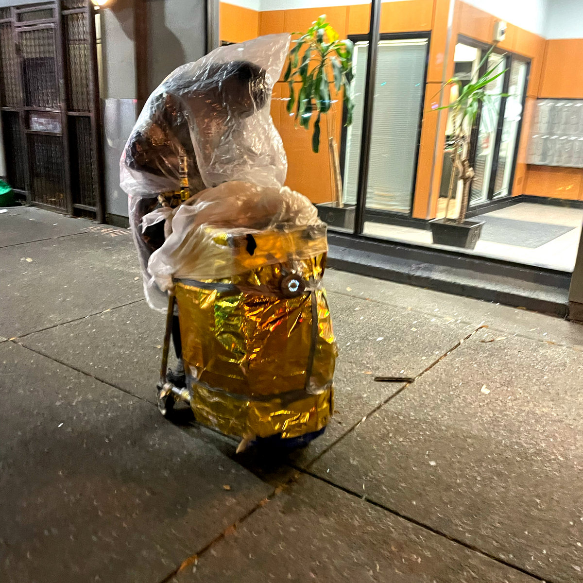 tropic of you | joshua stevenson