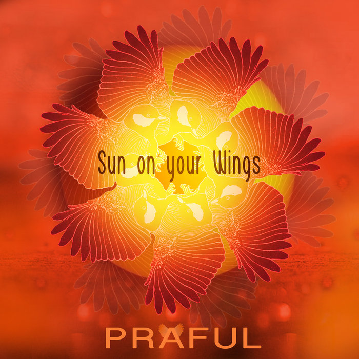 Sun on your Wings | Praful