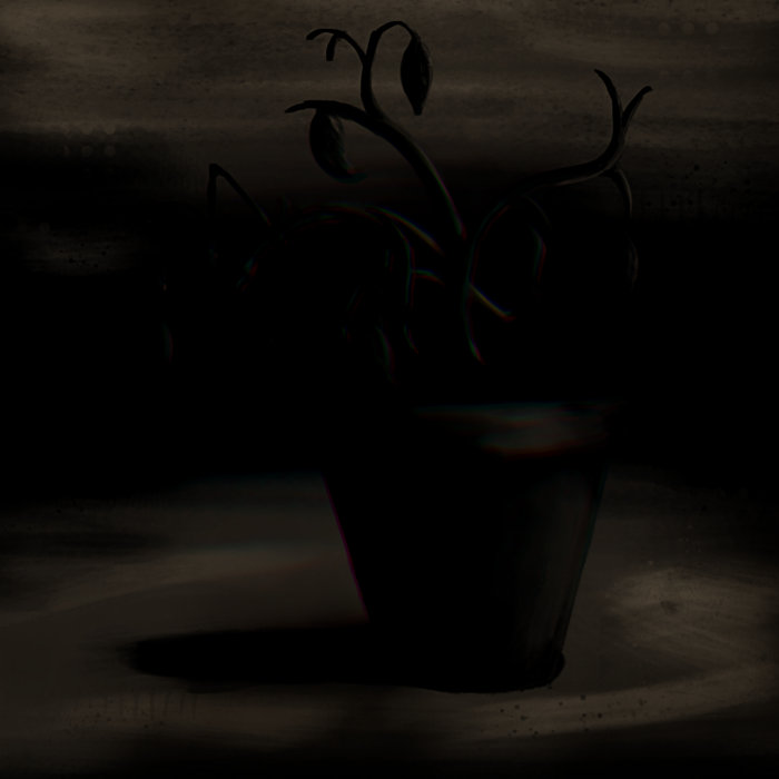 H? - Seen before | Zenyx