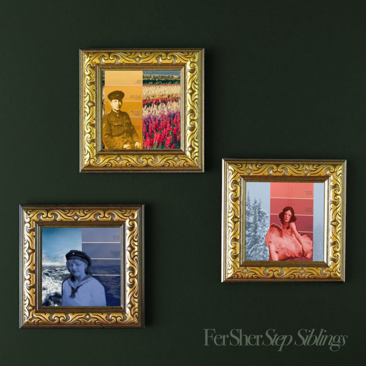 Step Siblings | Fer Sher