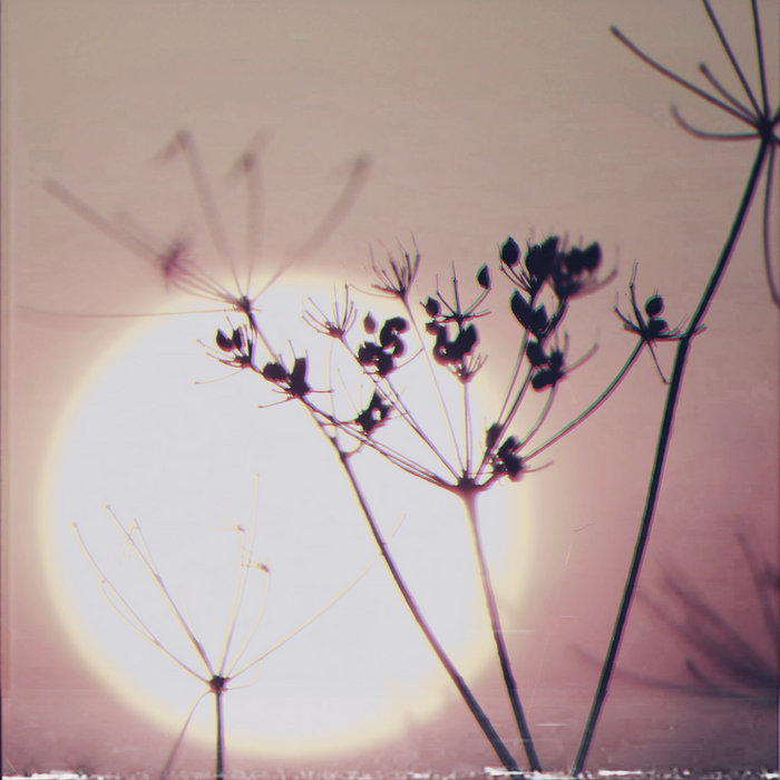 Five Songs | NGC 4414, Thomas Wingate | NGC 4414