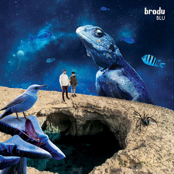 Music | Brodu