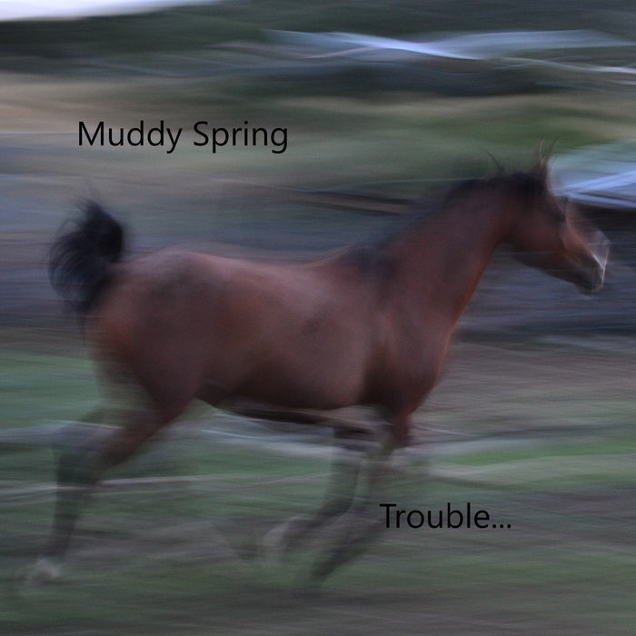 Trouble | Muddy Spring