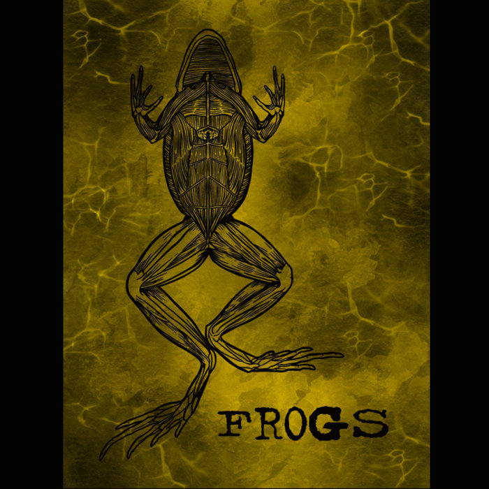 Frogs (Alice in Chains Cover) | Eryka Fir