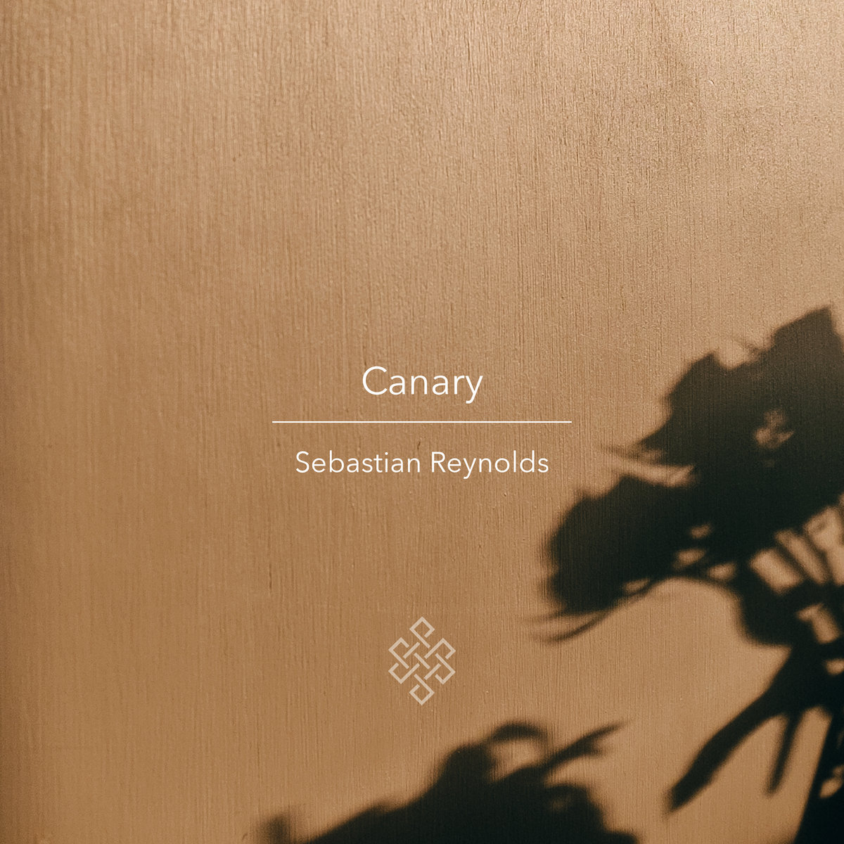 Canary | Sebastian Reynolds