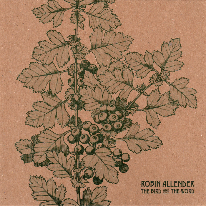 The Bird and the Word | Robin Allender