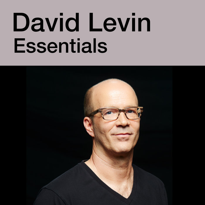 Essentials | David Levin