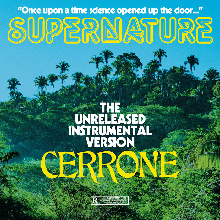 Supernature (instrumental) | Cerrone