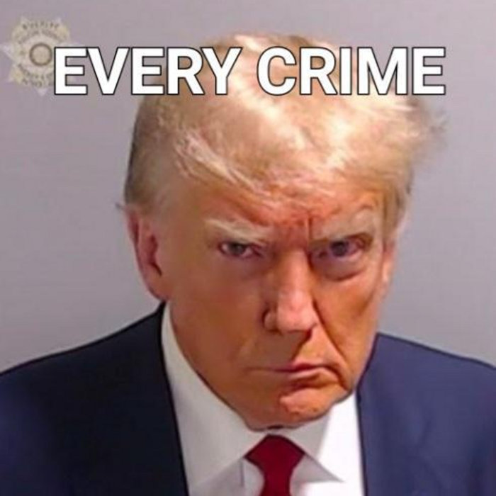 Disorganized Crime | Every Crime