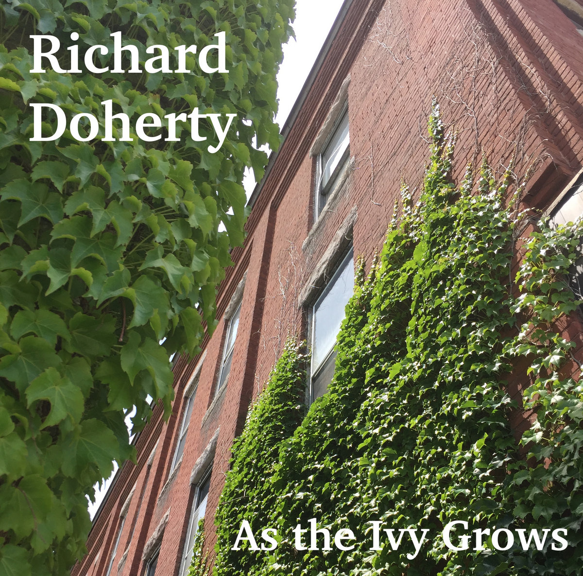 As the Ivy Grows... | Richard Doherty - Slidewinding