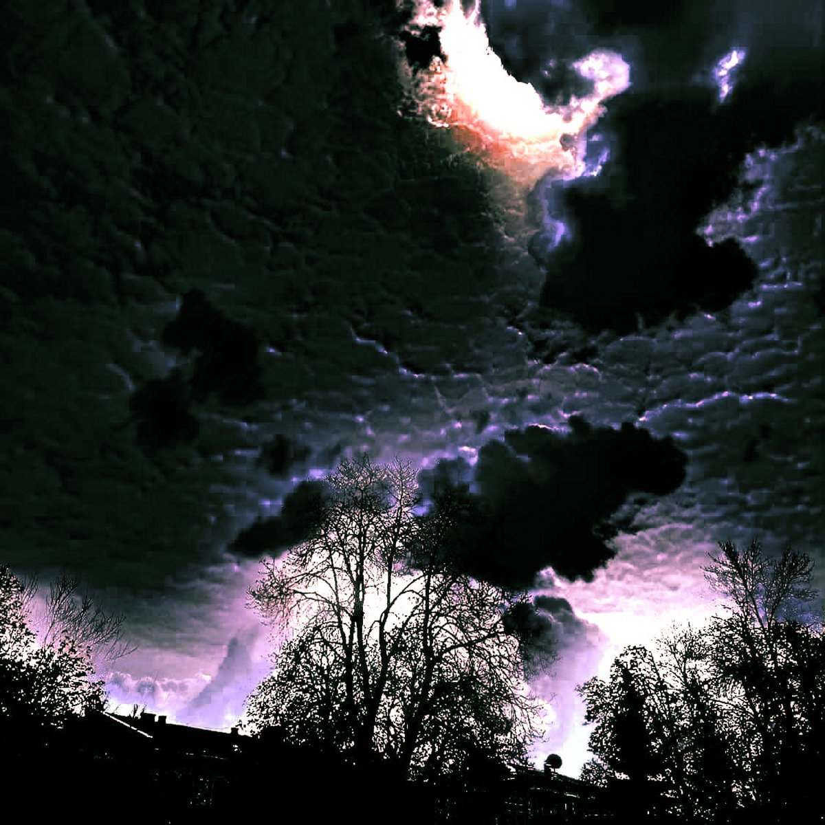 Співи VI | portfolio