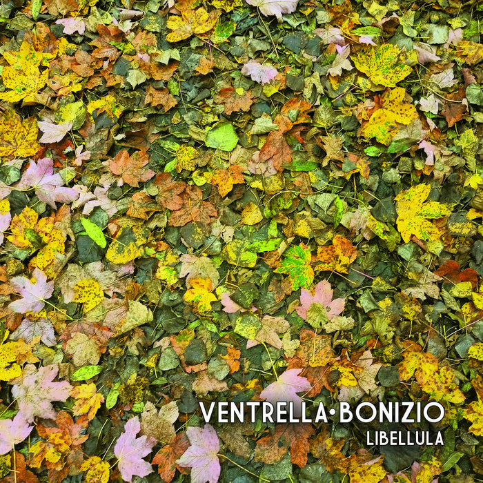 LIBELLULA | Alberto VENTRELLA - Luigi BONIZIO | VENTRELLA - BONIZIO