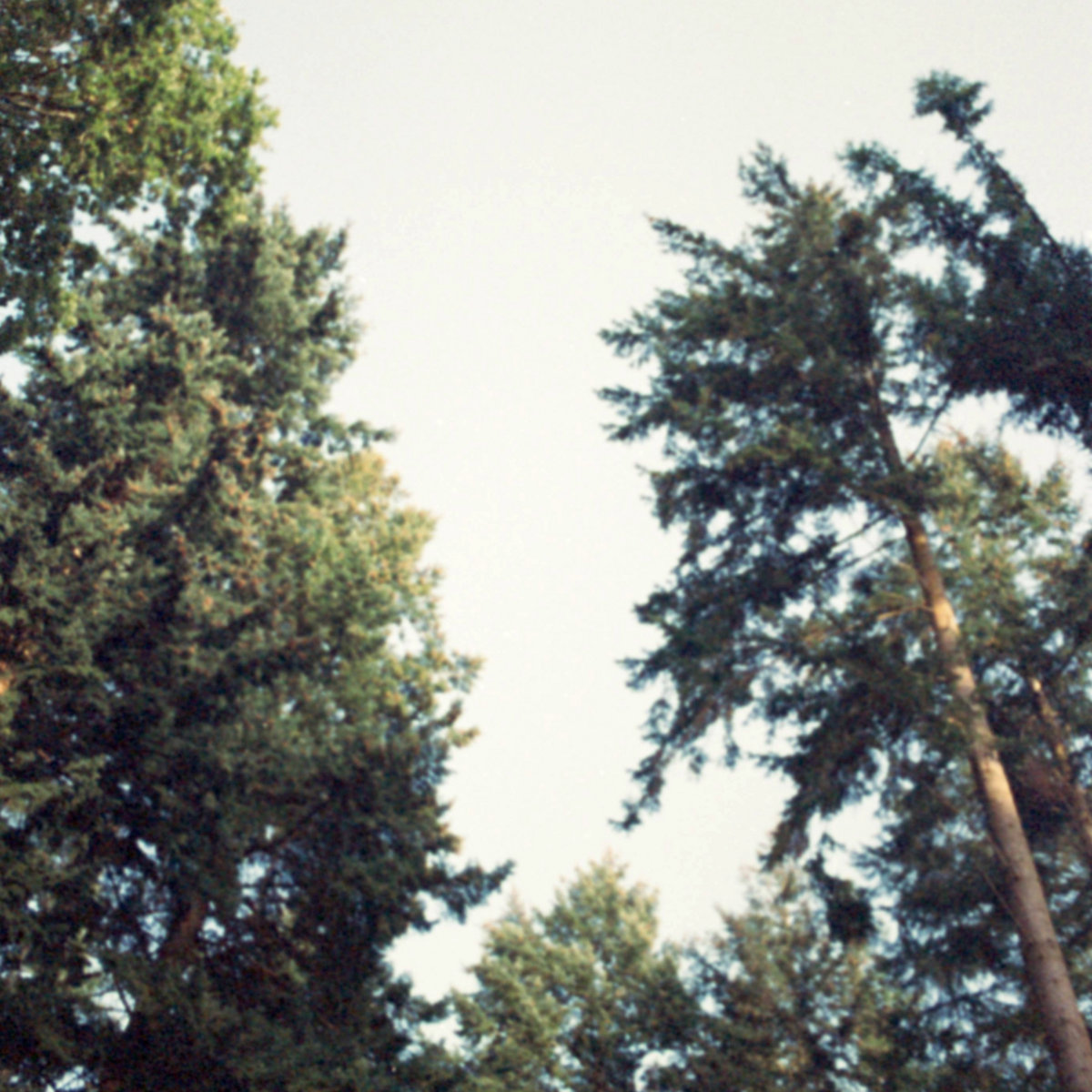 wake up, doldrums | amateur theatre group