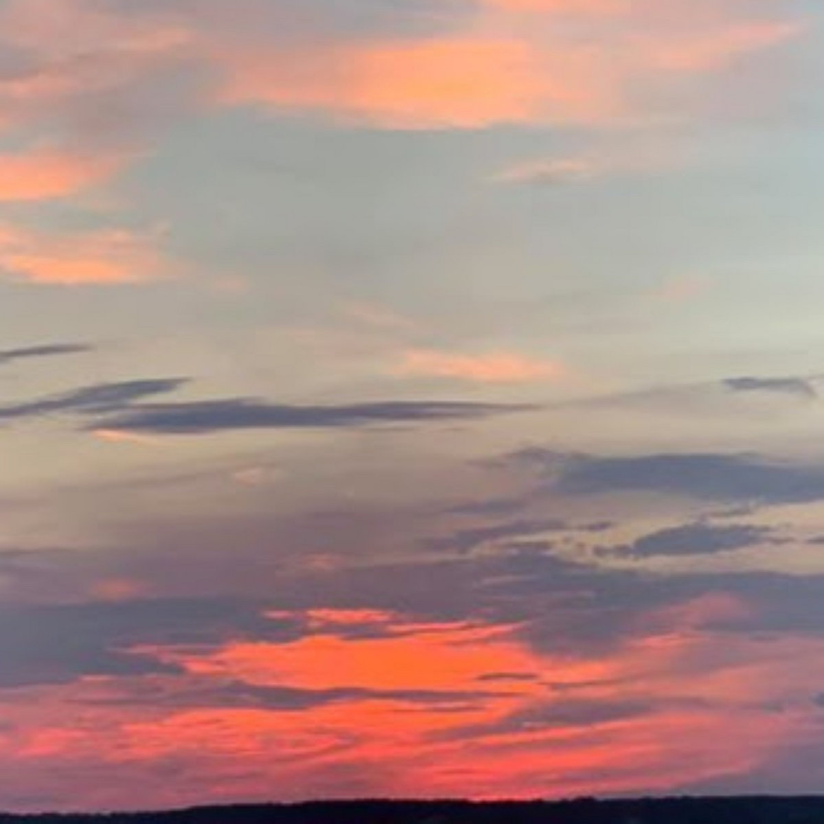 Not An Alien (Angels Cry) | Mike Terpak Collective