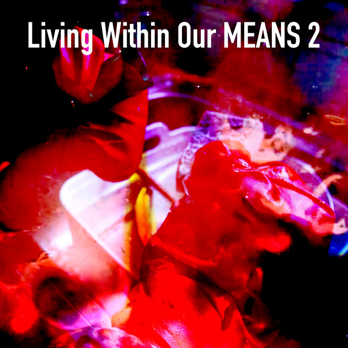 Living Within Our Means Vol 2 | MEANS