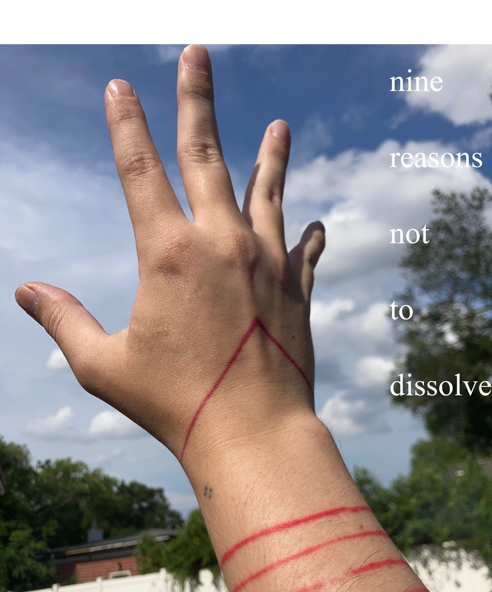 Nine Reasons Not To Dissolve | the bullet show | sangs