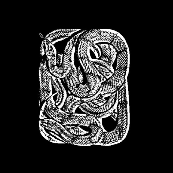 Rites Vs. Rotten Hand Split | Rites