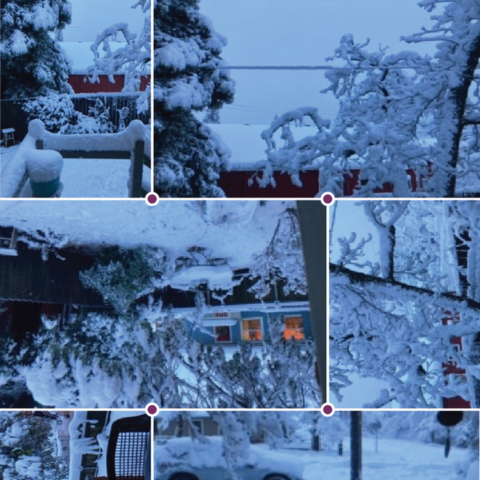 Chewing Scenery | Bren't Lewiis Ensemble