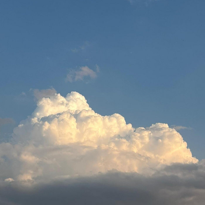 Amid The Chaos | Cyros' Journey