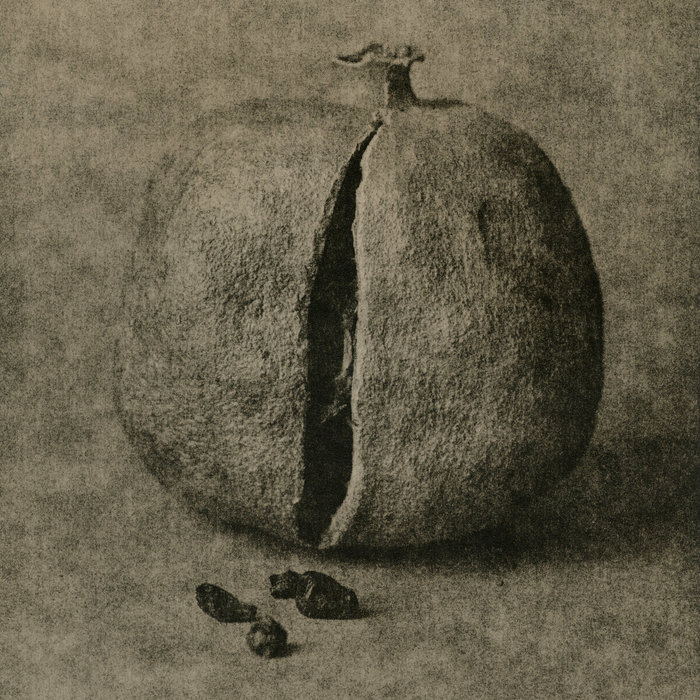 Split EP | Ali Murray & Cornelius Corvidae | Ali Murray