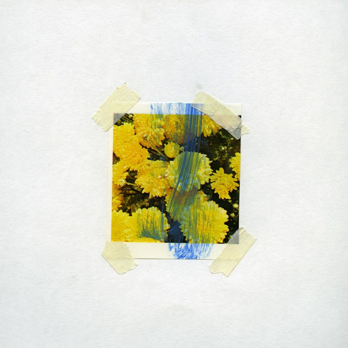 Feather Leaves / Vomiting up Flowers | The Spunloves