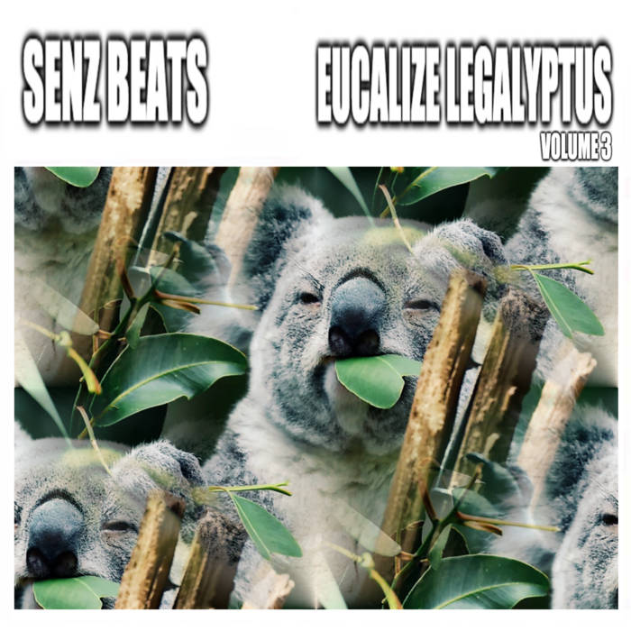 Koala Meme