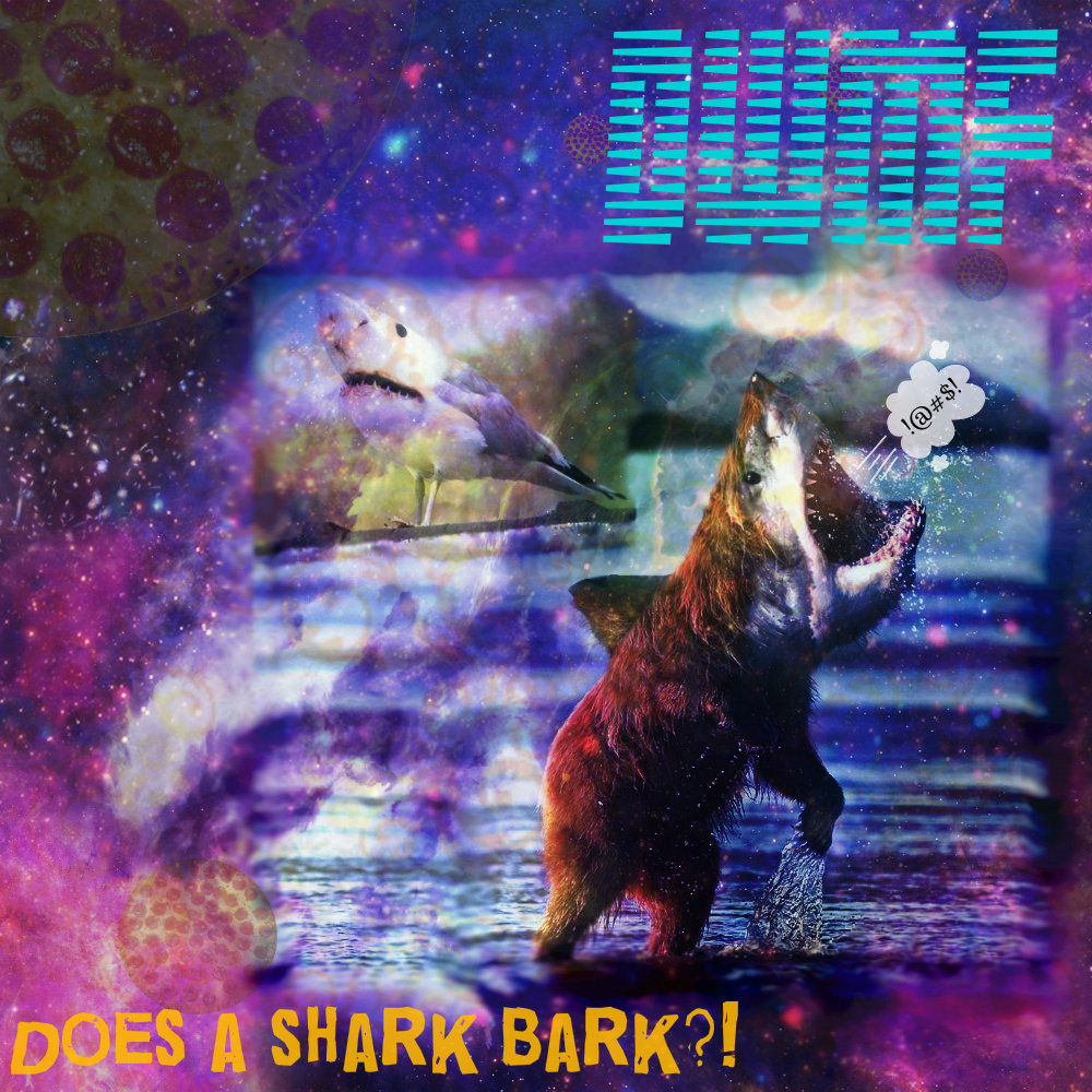 Does a shark bark?! | DWMF