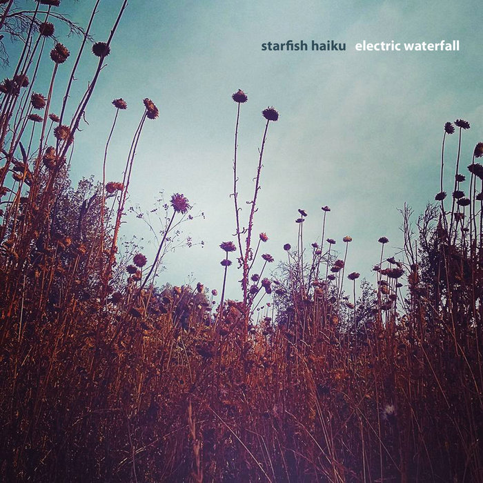 Electric Waterfall | Starfish Haiku