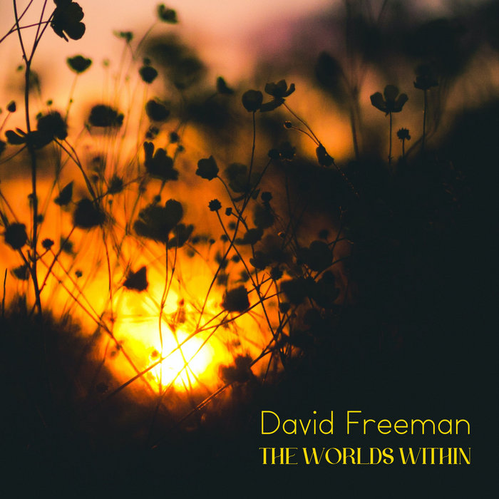 The Worlds Within | DAVID FREEMAN | Kosmik Moon Records
