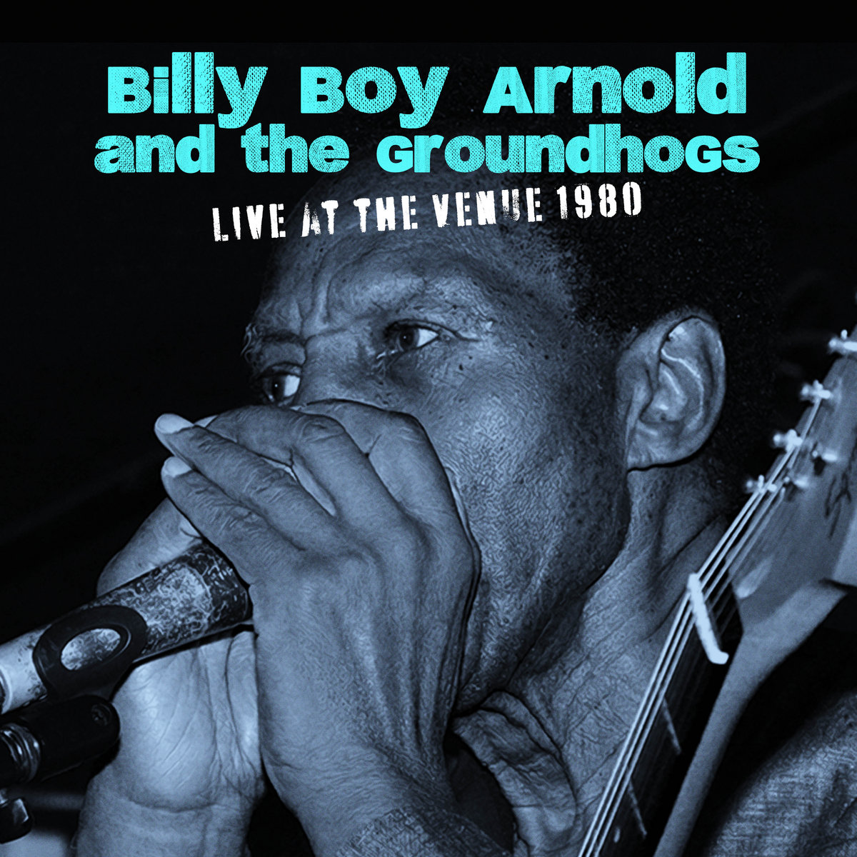 Live at the Venue | Billy Boy Arnold and the Groundhogs | Billy Boy Arnold