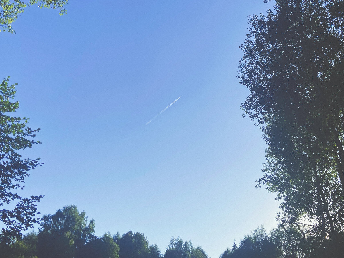 blue days | lurp sheets