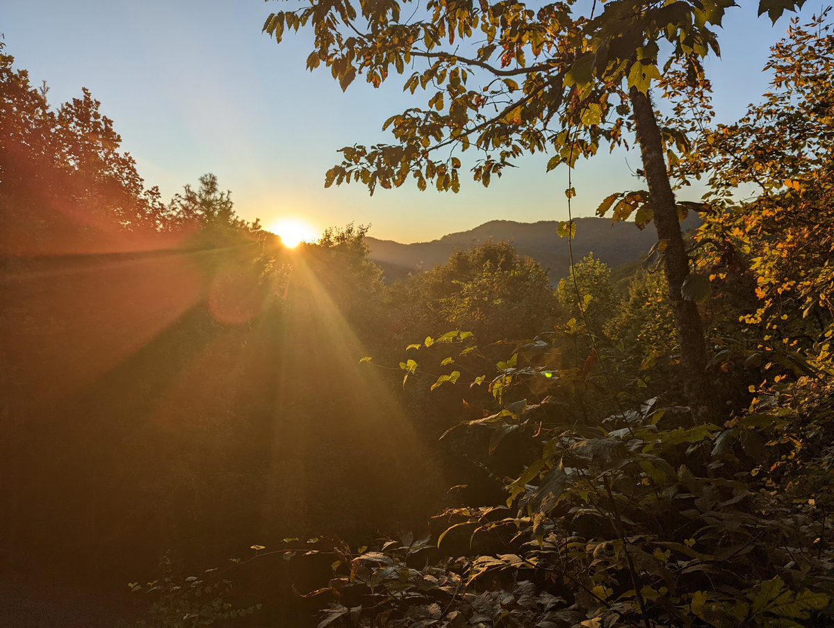 New Heart | Nathaniel Scott