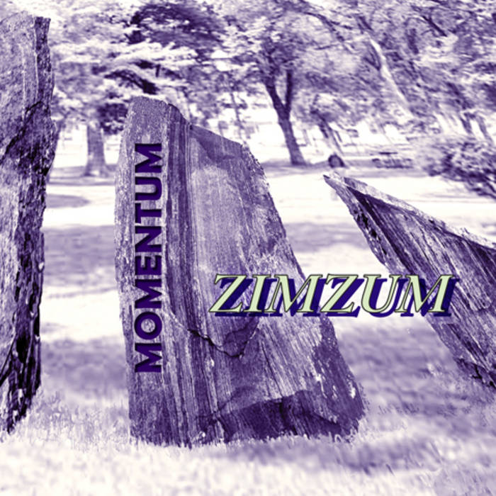 MOMENTUM | ZIMZUM