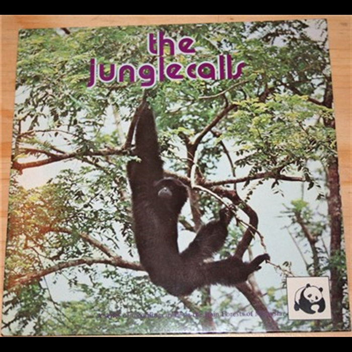 The Jungle Calls | Ken Scriven