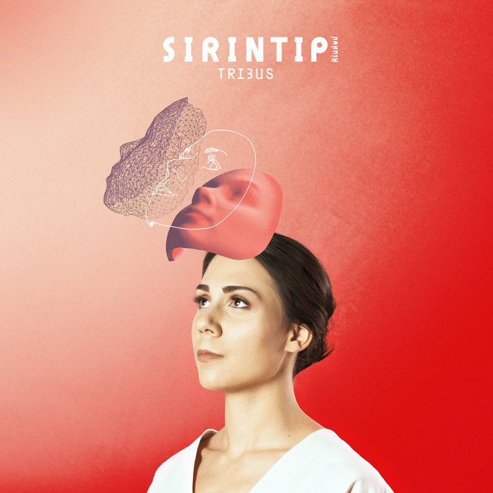 Tribus | Sirintip
