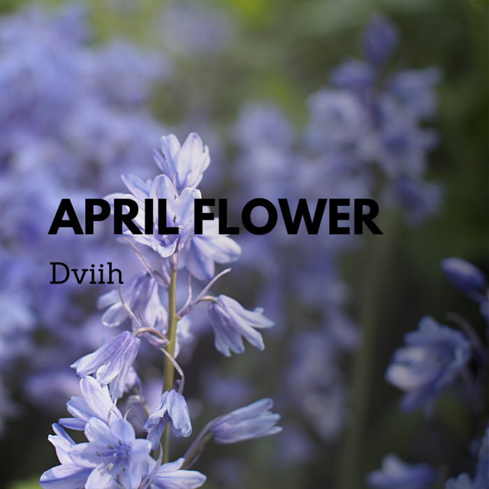 April Flower | Dviih