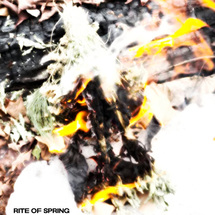 RITE OF SPRING | VOID