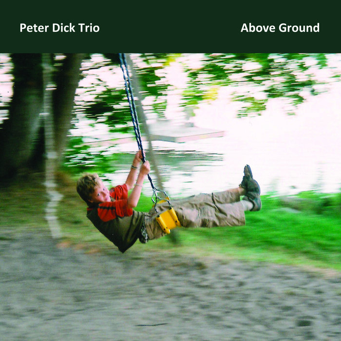 Above Ground | Peter Dick