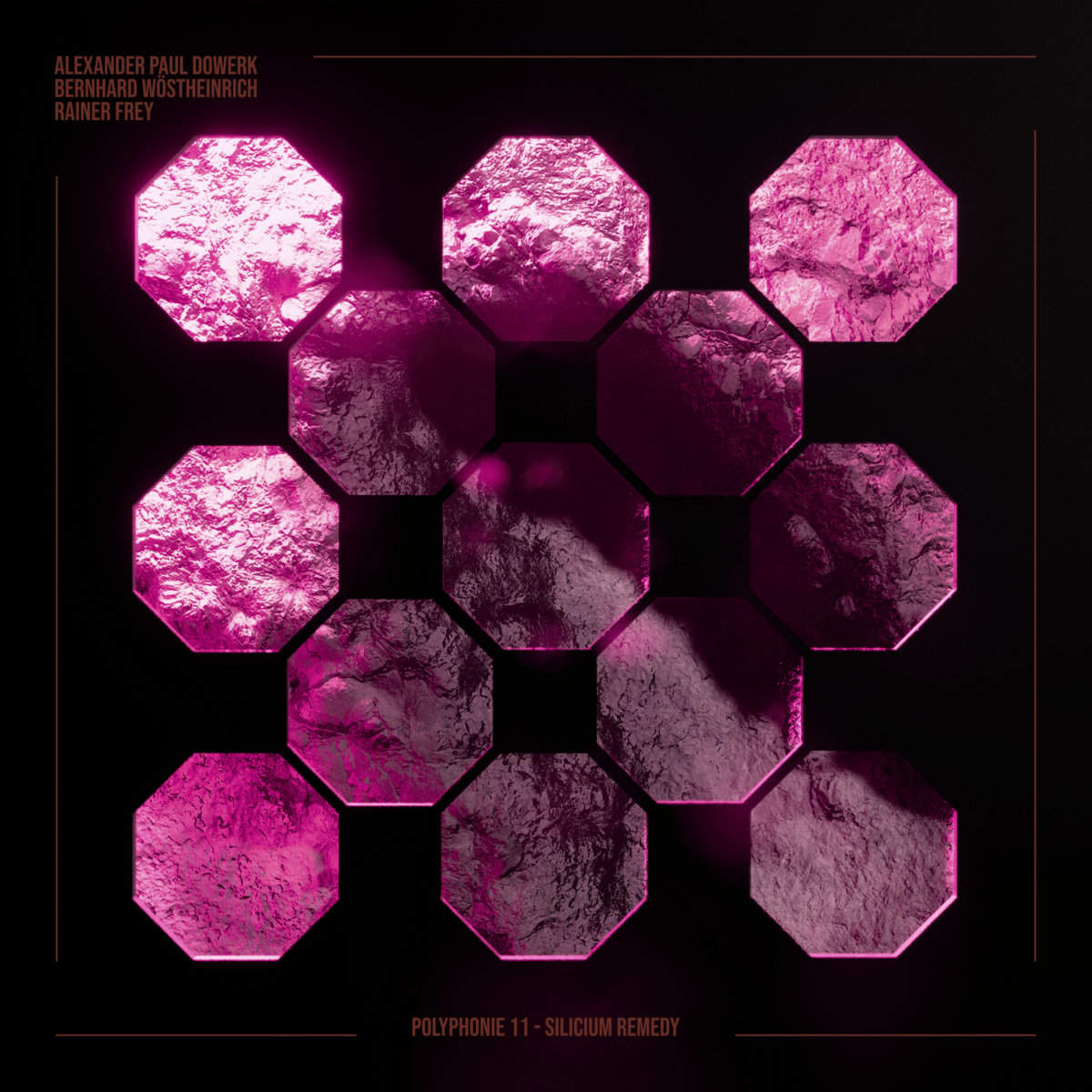 Polyphonie 11 - Silicium Remedy | Alexander Paul Dowerk, Bernhard ...