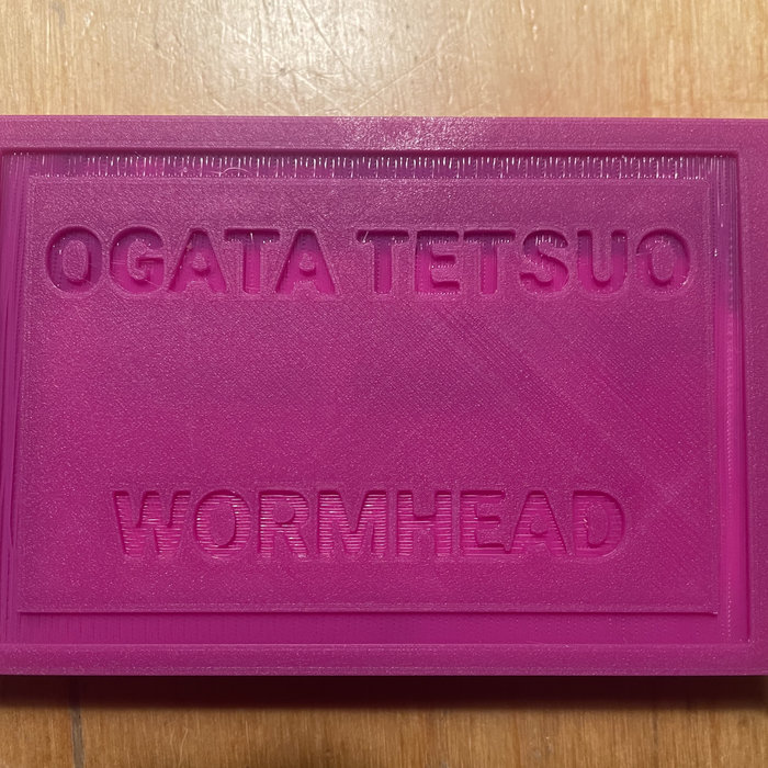 OGATA TETSUO / WORMHEAD - We're echological doomed | Wormhead