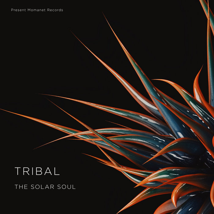 Tribal | The Solar Soul