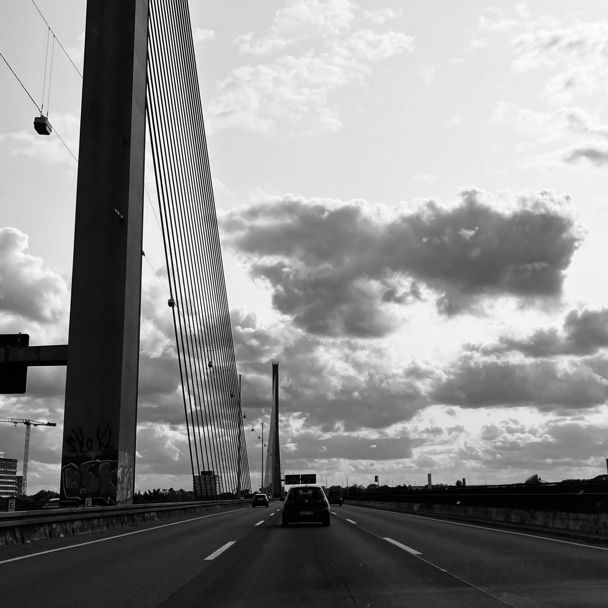 Butterfly | CVR Recovery