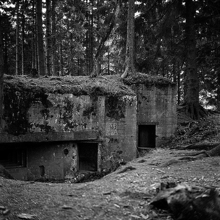 Pill Box Bunker | Women of the Pore