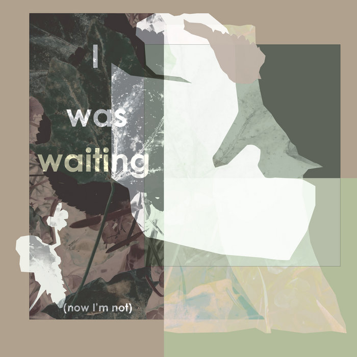 I was waiting (now I'm not) | Duelling Ants
