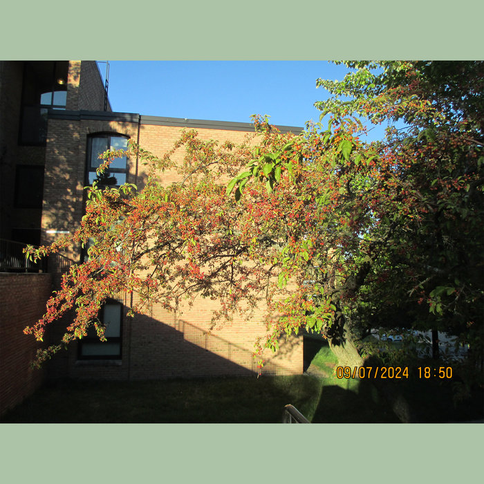 Moon Logic | suchamazingdoge