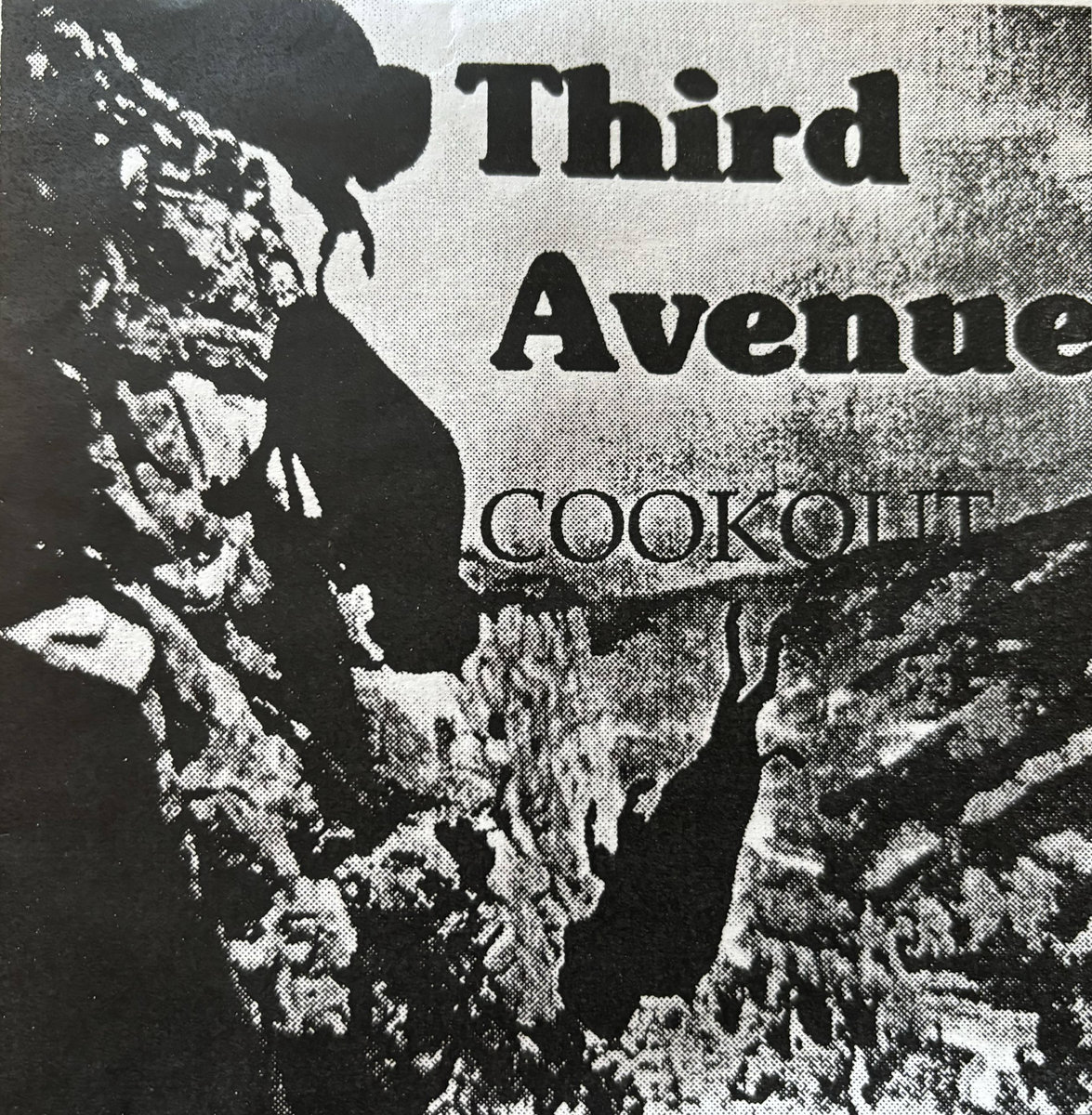 COOKOUT | Third Avenue | Mike Lamb Discography