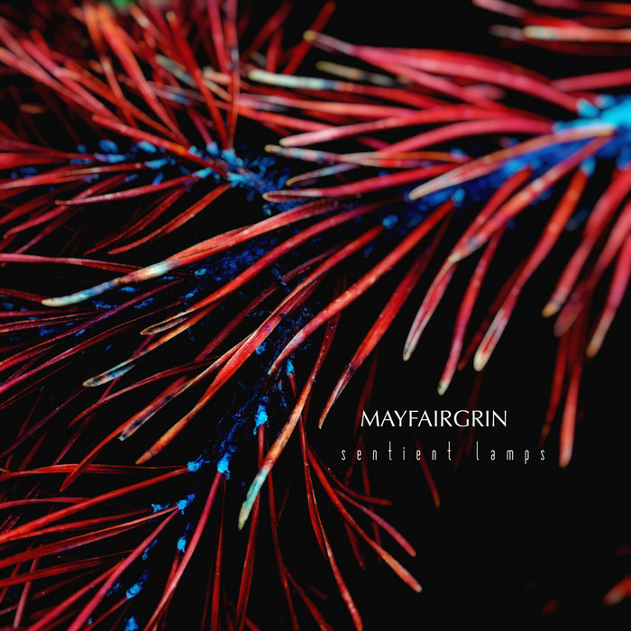 Sentient Lamps | mayfairgrin