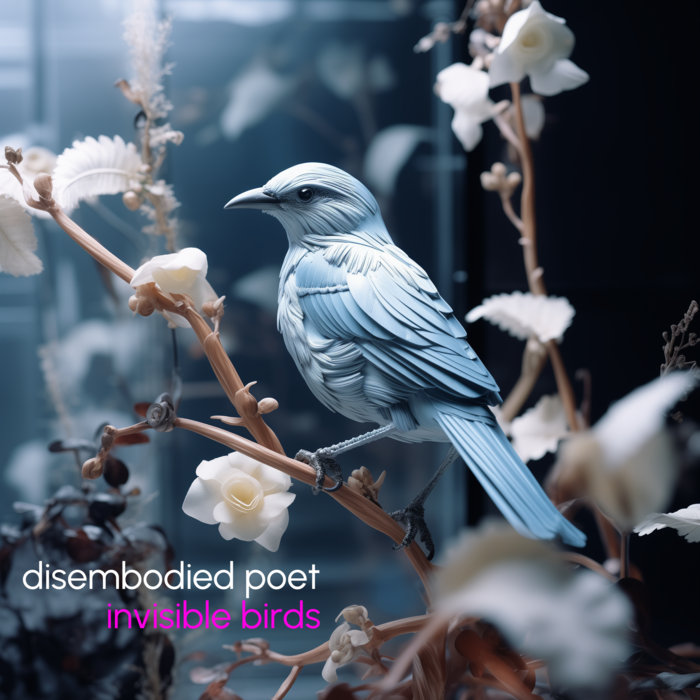 invisible birds | Disembodied Poet